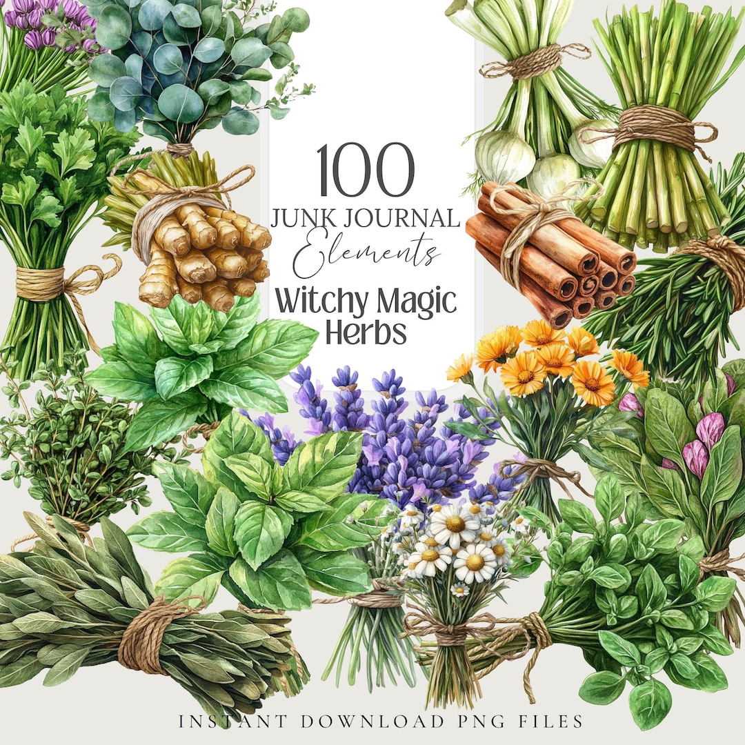 Magic Herbs Plants Clipart Herbal Art Medicinal Green Witch Junk ...