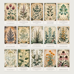Herbal Botanical Oracle Cards Plants Medicine Printable Herb Deck ...