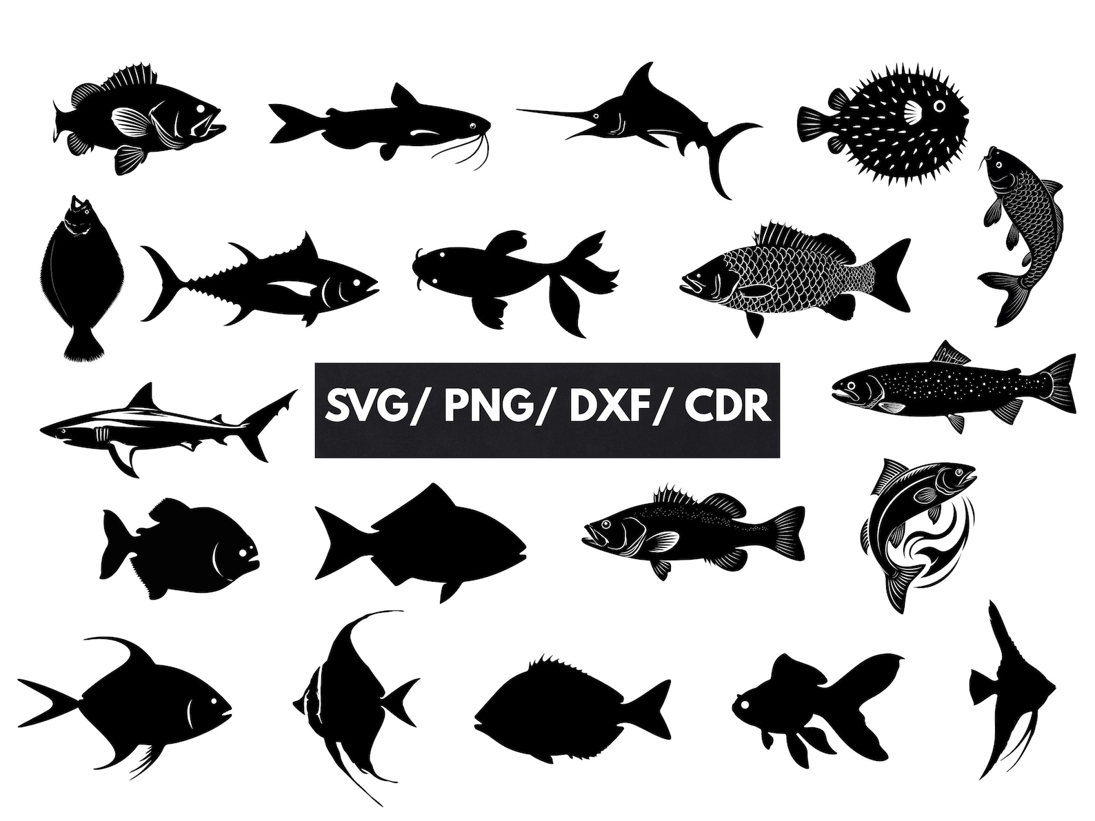 Fish SVG Bundle, Fish PNG Bundle, Fish Clipart, Fish SVG Cut Files for ...