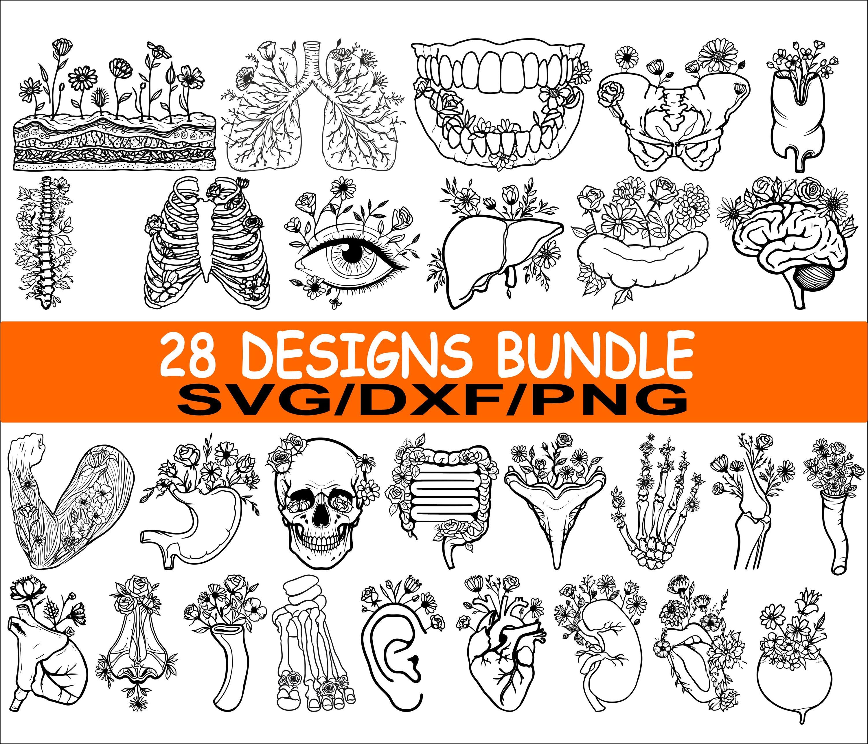 28 Floral Anatomy Svg Bundle / Human Organs With Flowers Png / Medical ...