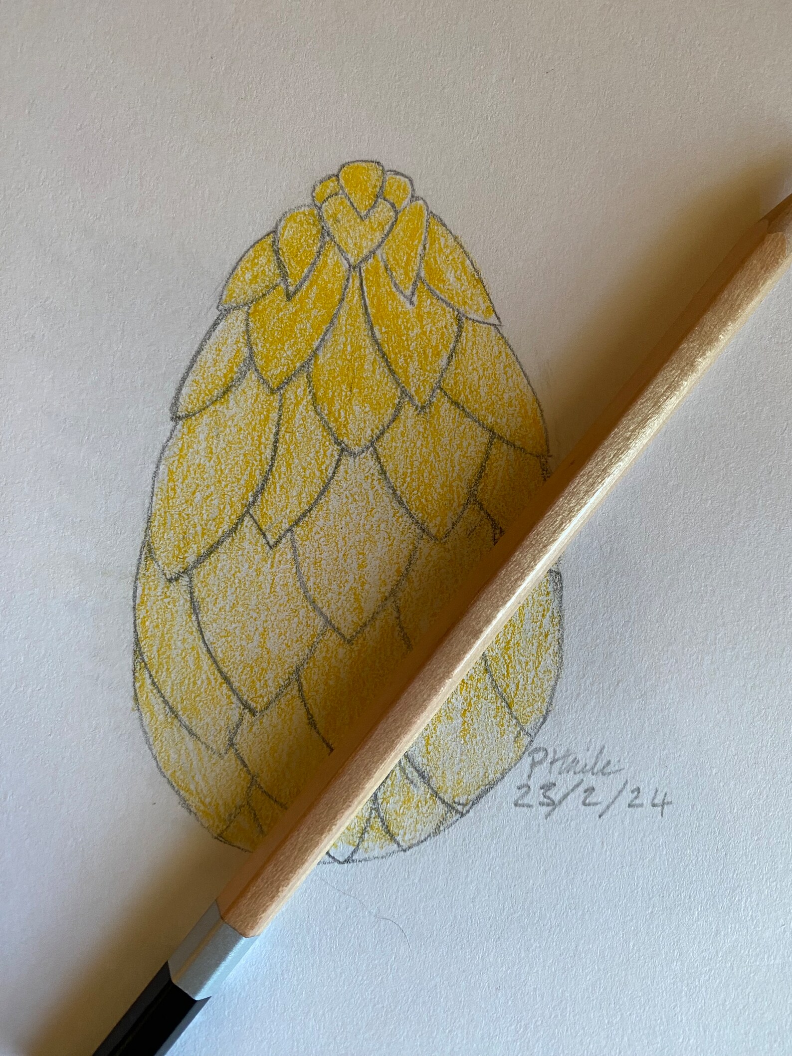 DIGITAL - Golden Dragon Egg Drawing - Etsy