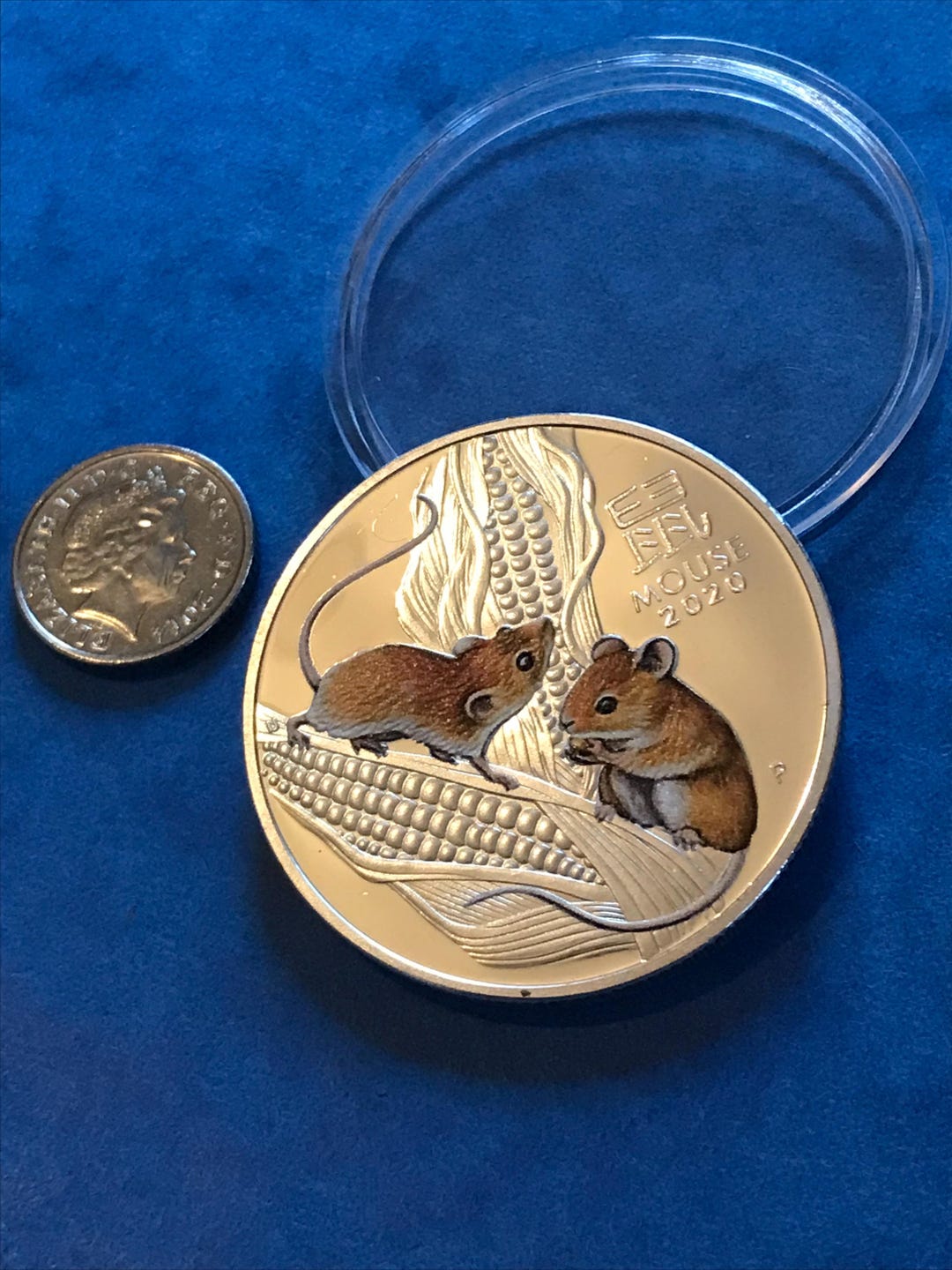 Year of the Mouse Silver Coin Comes in a Protective Plastic Case the ...