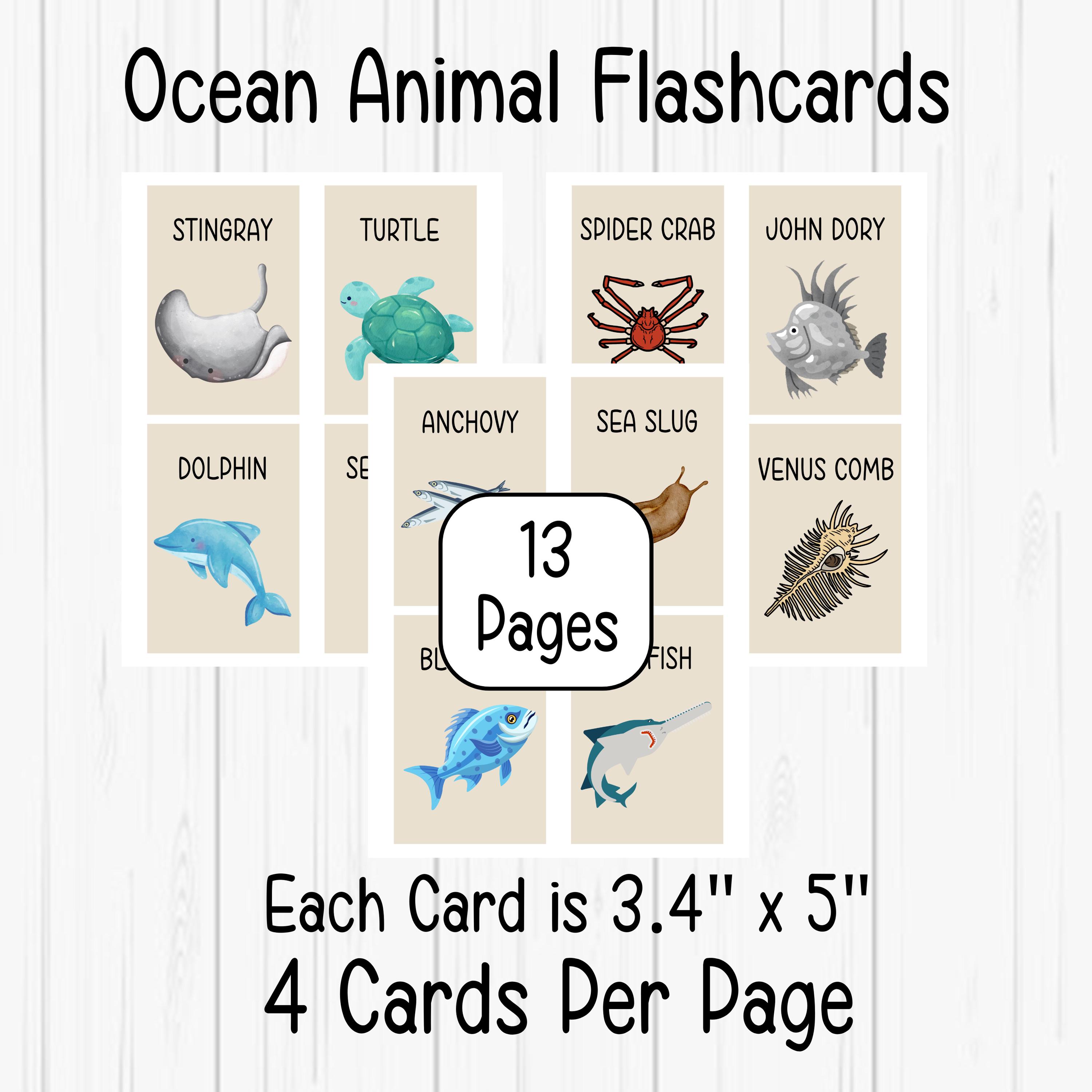 Ocean Animals Flashcards, Printable Flash Cards for Kids, Ocean Flash ...