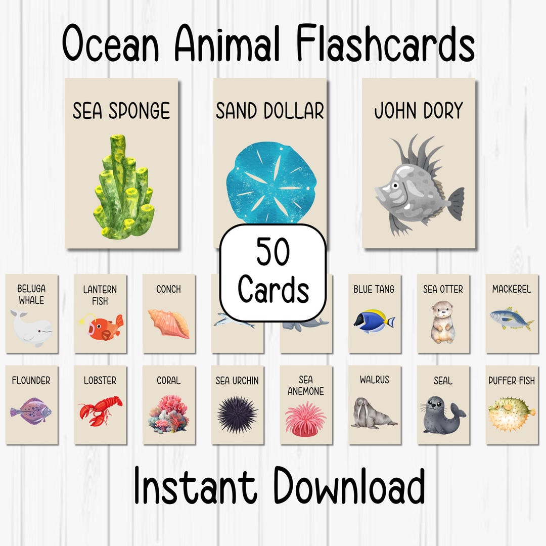 Ocean Animals Flashcards, Printable Flash Cards for Kids, Ocean Flash ...