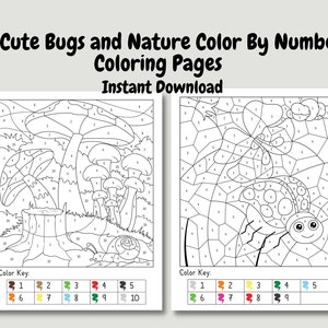 Cute Bugs and Nature Color by Number Coloring Pages, Instant Download ...