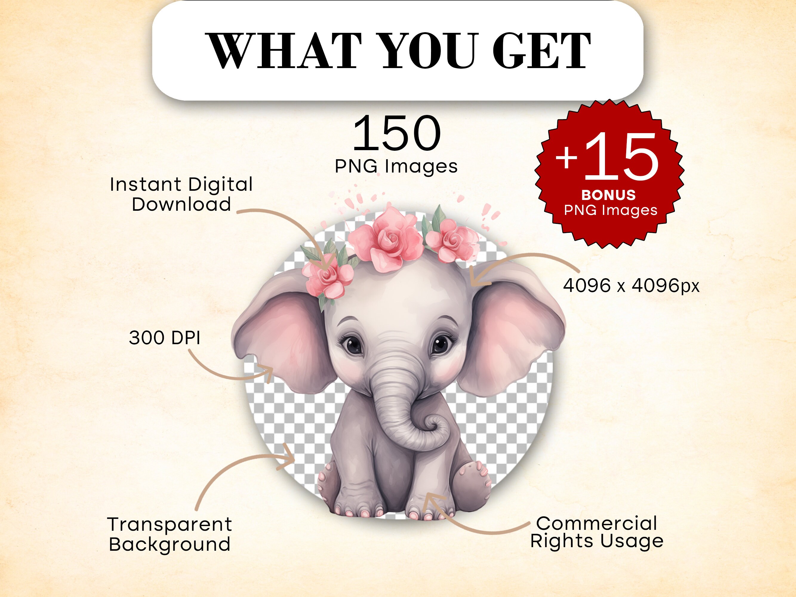 Baby Elephant Clipart Bundle,lovely Baby Elephants,little Elephant ...