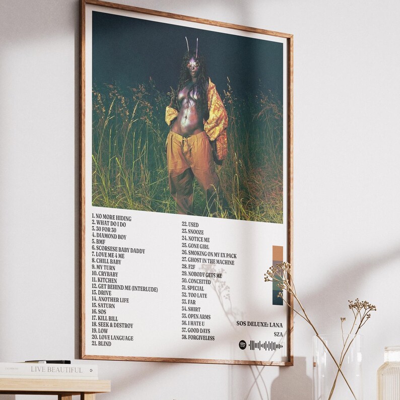Personalized Album Cover Poster Featuring SZA Custom Wall Art for Music ...