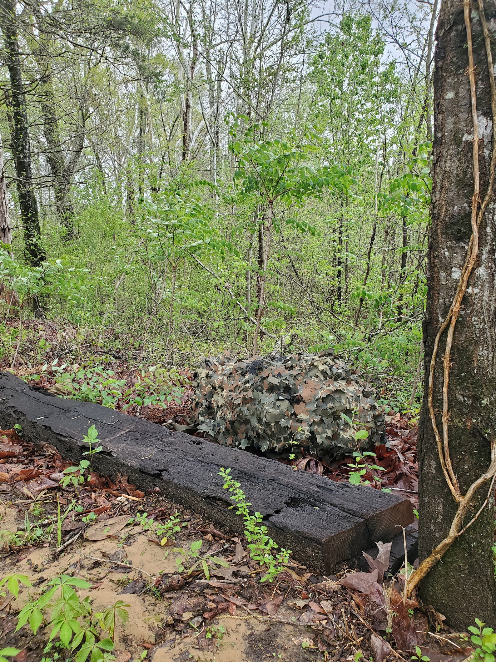 Solaithe Archive Medium Pack Wisp ( Combat, Sniper, Military) - Etsy