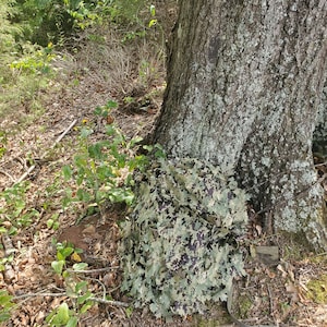 Solaithe Archive Large Pack Wisp ( Sniper Backpack Scrim Ghillie Cover) - Etsy