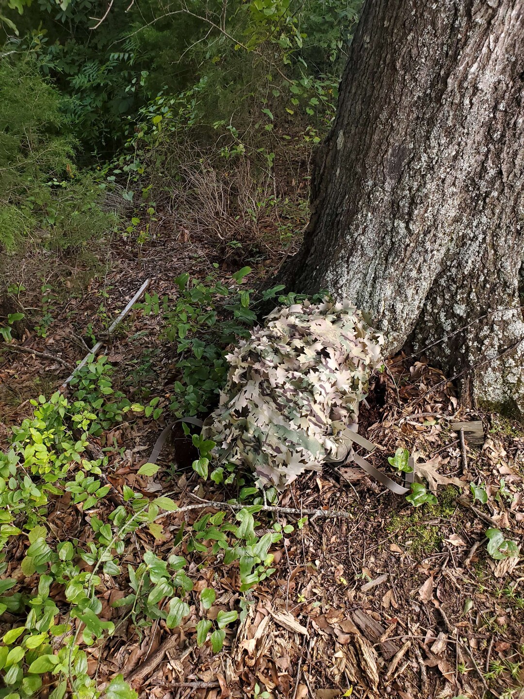 Solaithe Archive Medium Pack Wisp ( Combat, Sniper, Military) - Etsy