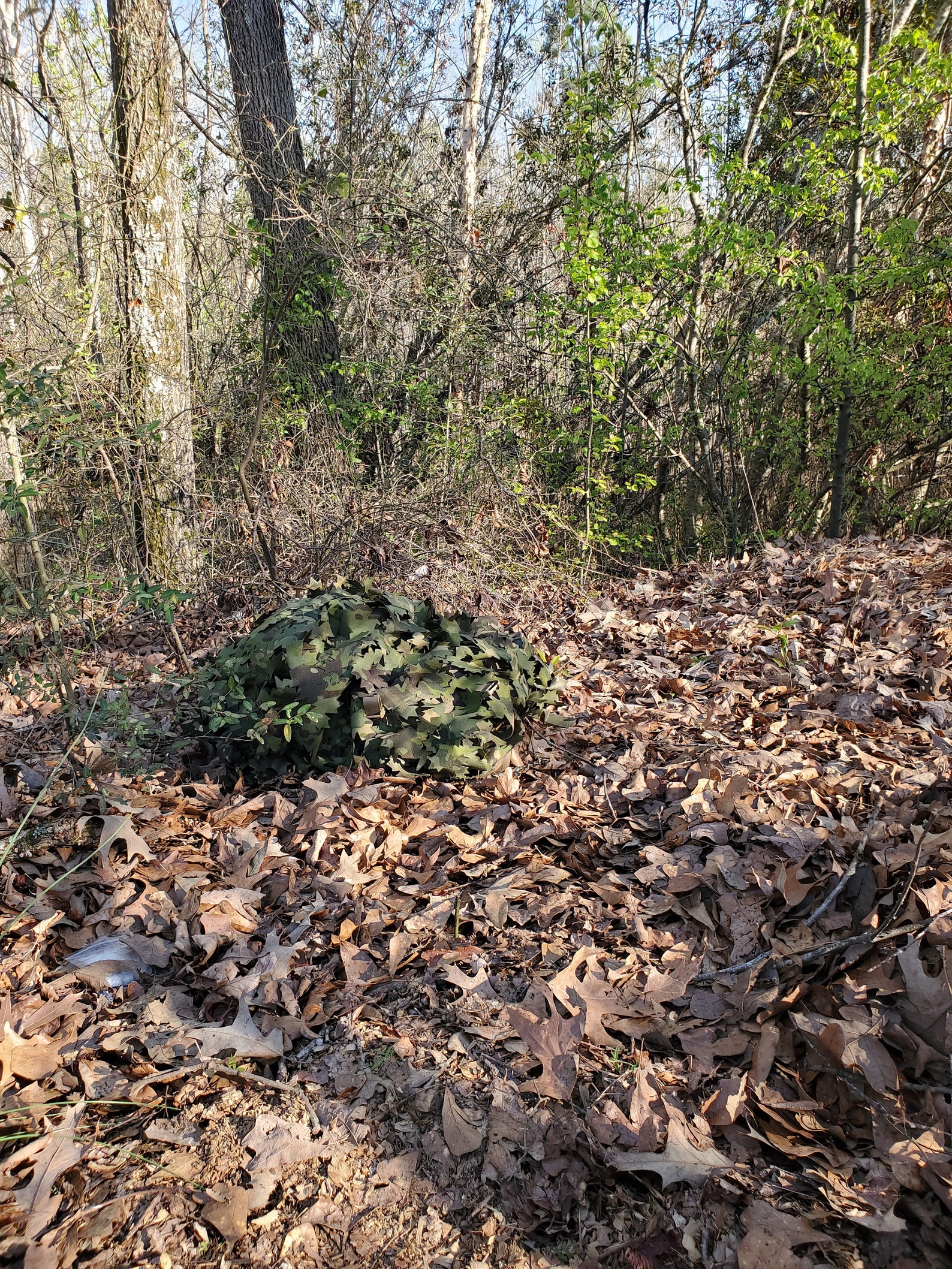 Solaithe Archive Medium Pack Wisp ( Combat, Sniper, Military) - Etsy