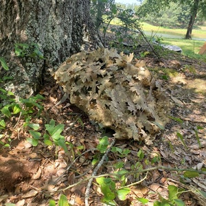 Solaithe Archive Medium Pack Wisp ( Combat, Sniper, Military) - Etsy Canada