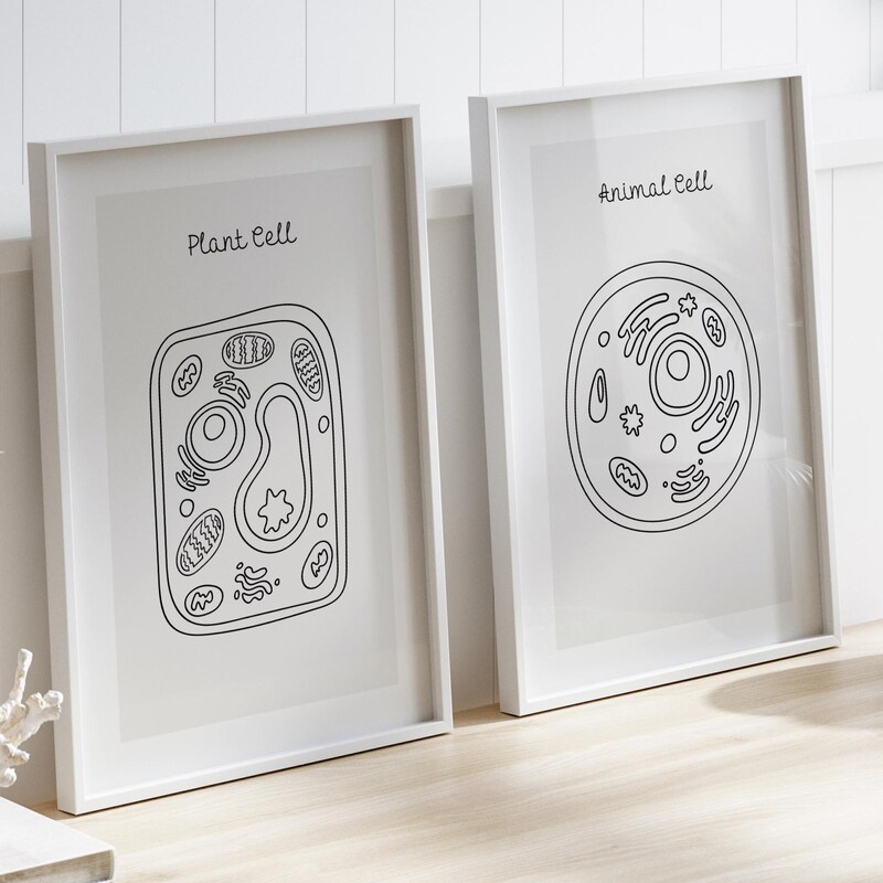 Biology Wall Art - Etsy