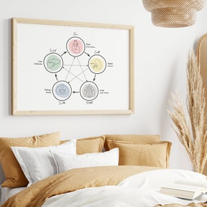 Five Elements TCM Wall Art, Acupuncture Decor (printable) - Etsy