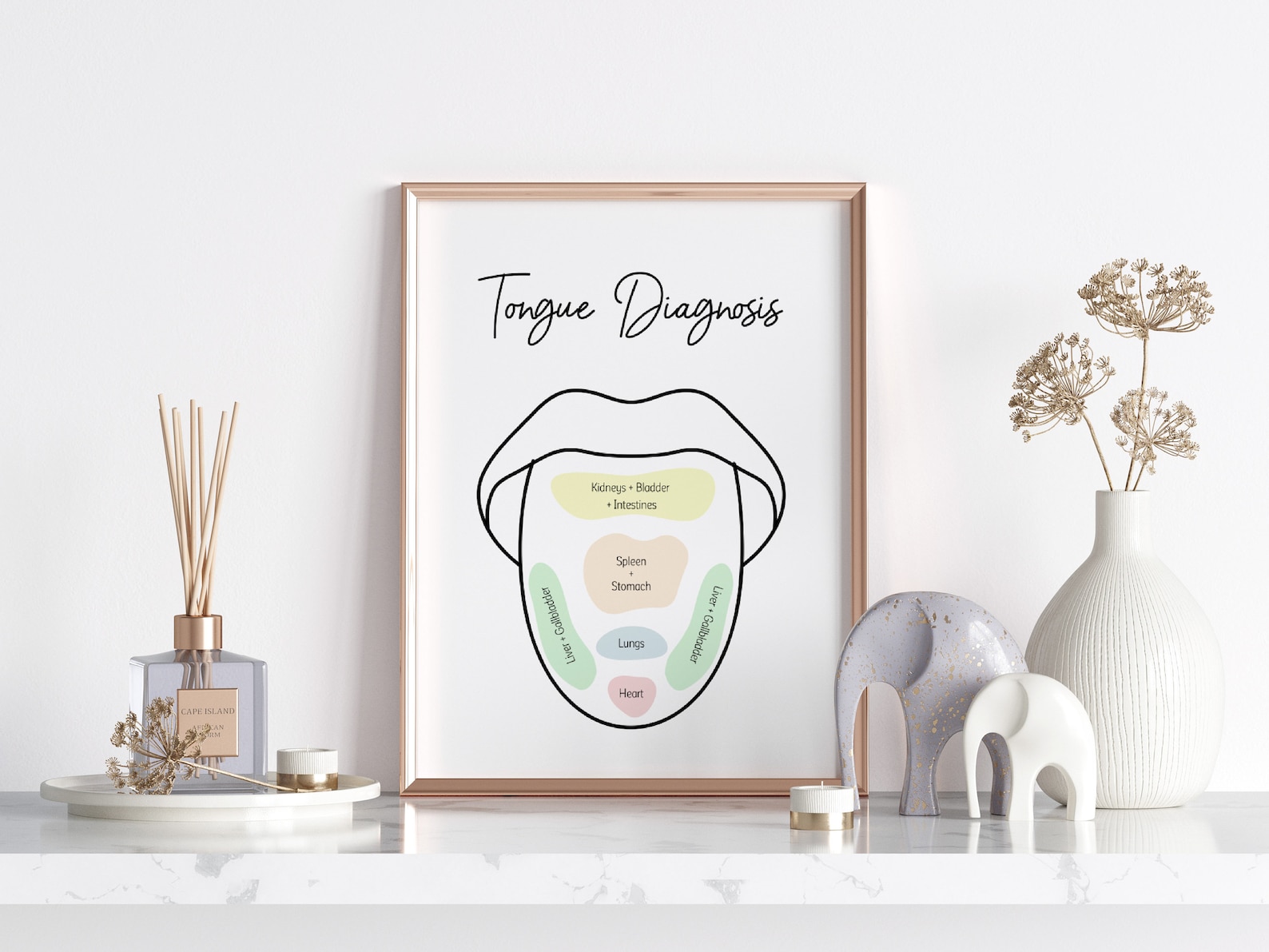 TCM Tongue Diagnosis Chart Poster, Tongue & Organs Map, Tongue ...