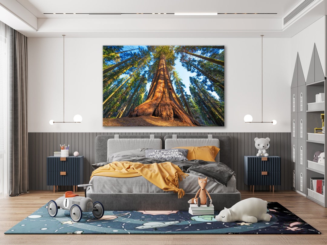 Sequoia National Park Giant Green Tree Forest Landscape Canvas Print ...