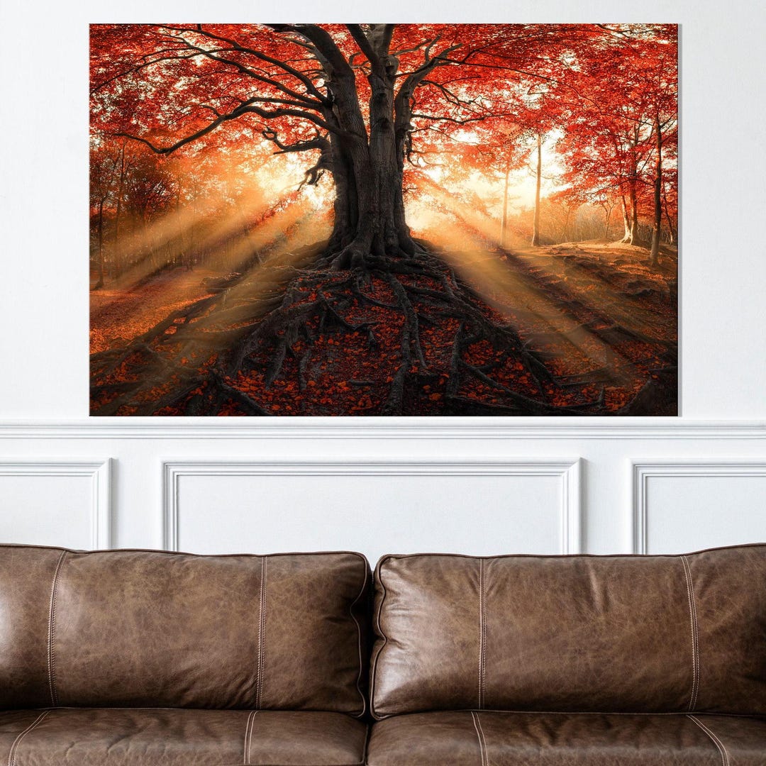 Autumn Sunrays Big Oak Tree Canvas Print — Warm Fall Forest Wall Art ...