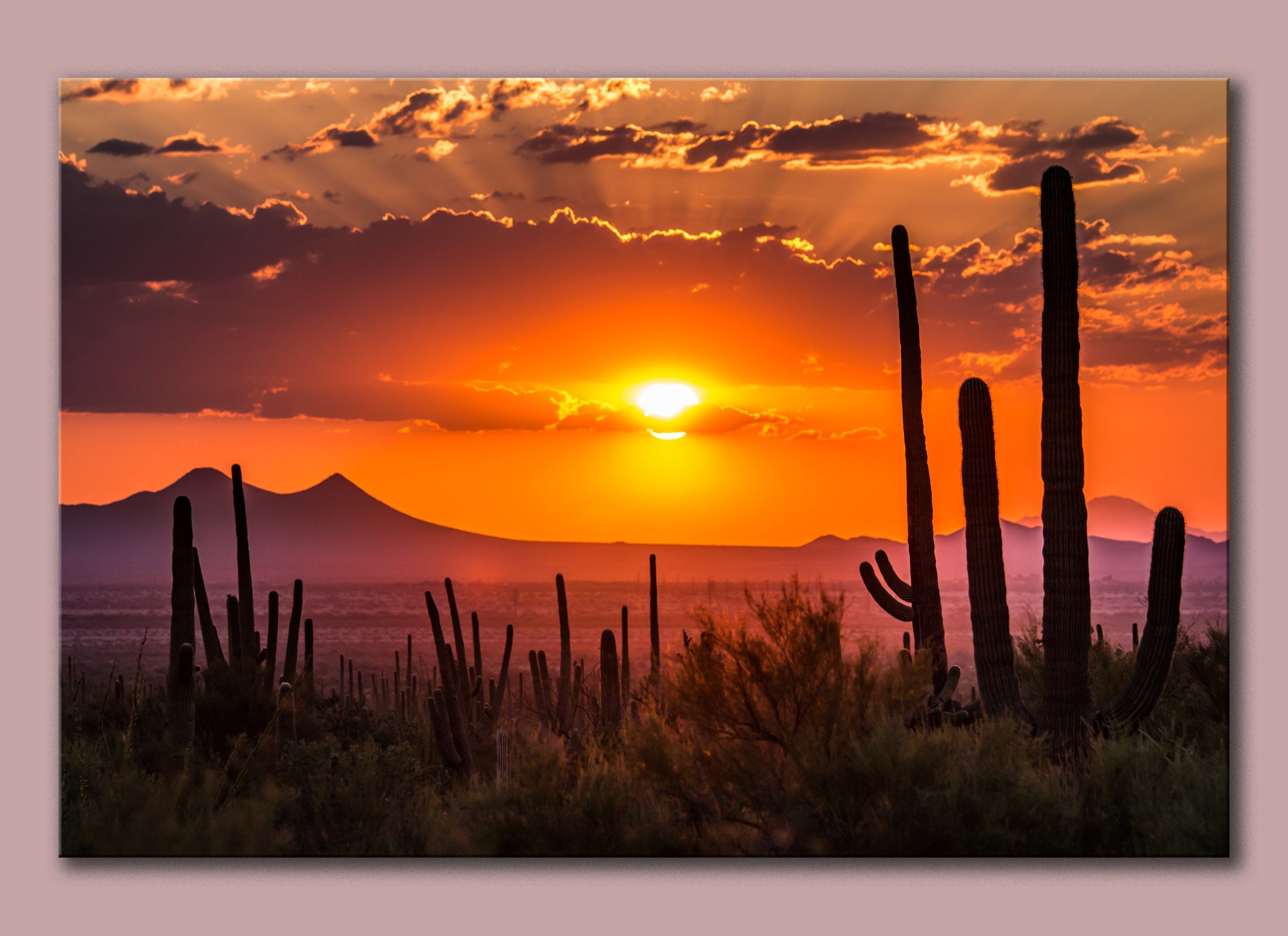 Arizona Desert Arizona Sunset View Southwestern Landscape Canvas Print ...
