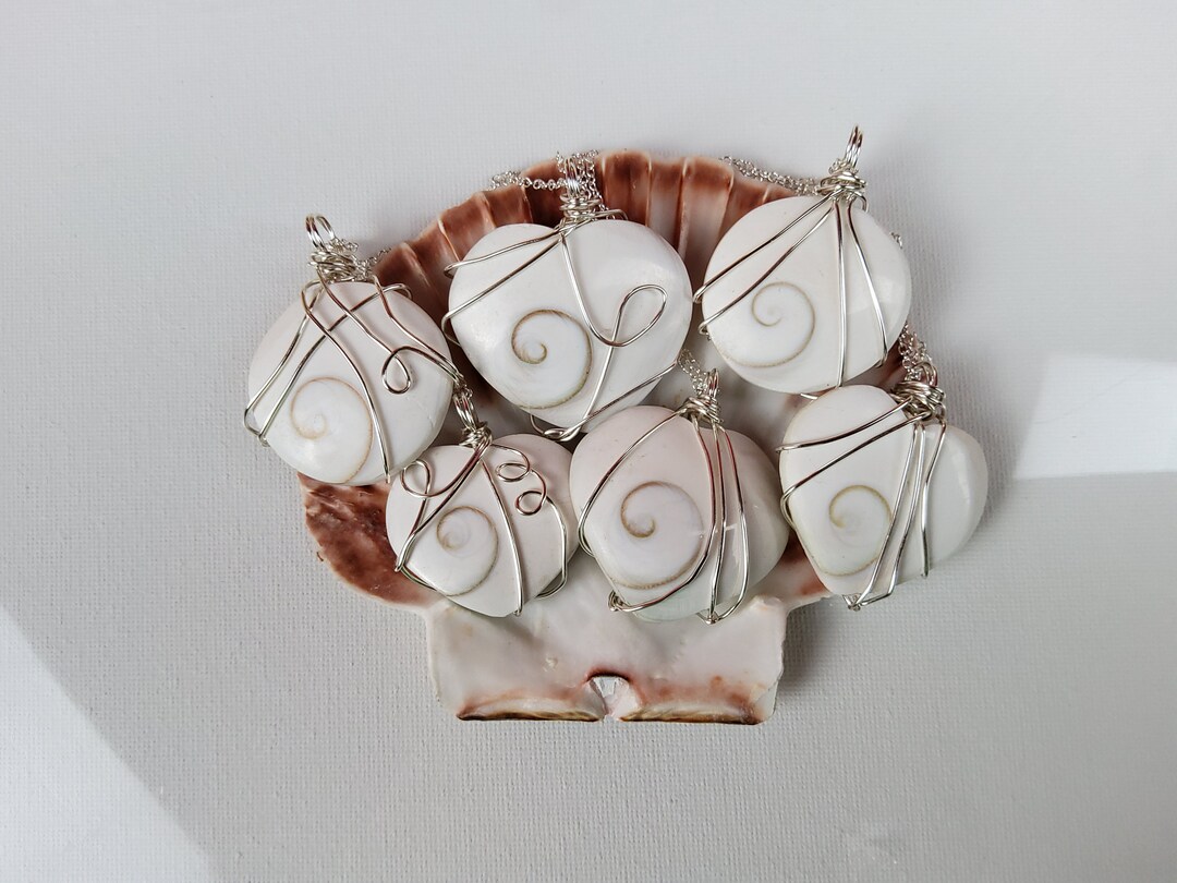 Wire Wrapped Shiva Shell - Etsy