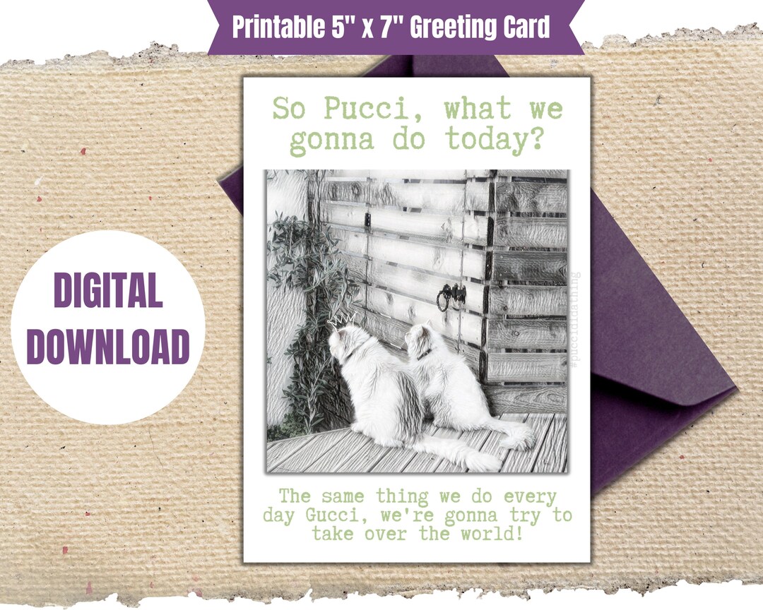 PRINTABLE Funny CAT Greeting CARD & Envelope Template, Take Over the ...