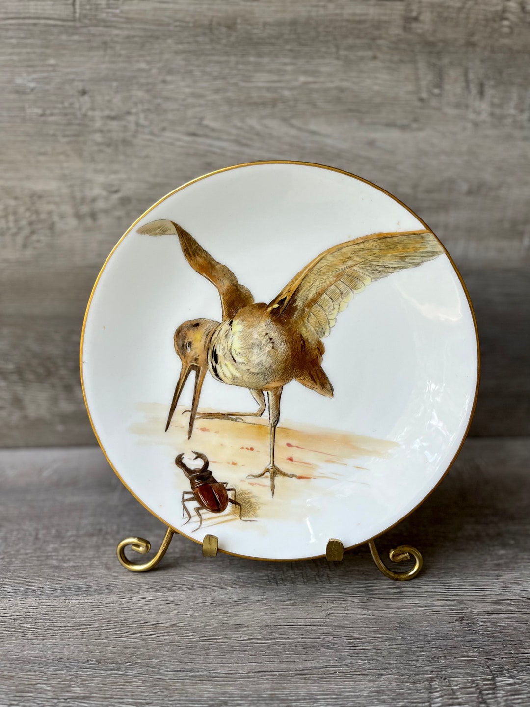 Snipe or Woodcock? Bird Plate, 9.5 Round Plate, Great for Lodge Decor ...