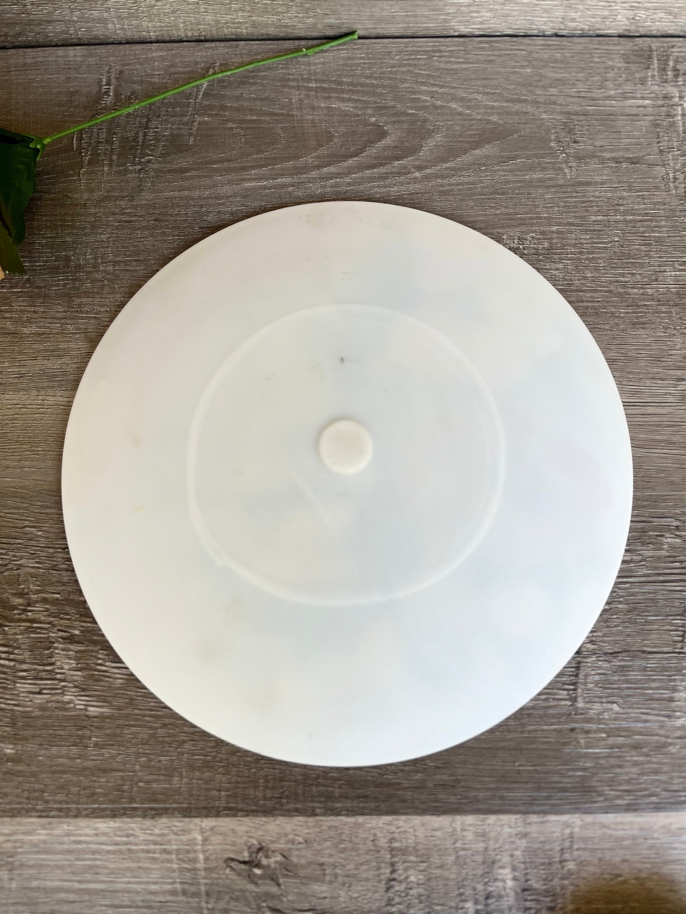 Hand Painted Frosted White Opaline Glass Decorative Plate, Beautiful ...