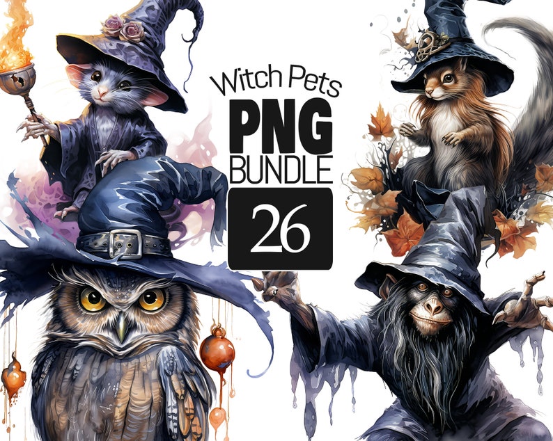 PNG BUNDLE Witch Pets Clipart Set Magical Fantasy Witchy - Etsy