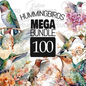 Watercolor Hummingbirds Clipart Set BIG BUNDLE for Scrapbooking, Junk ...