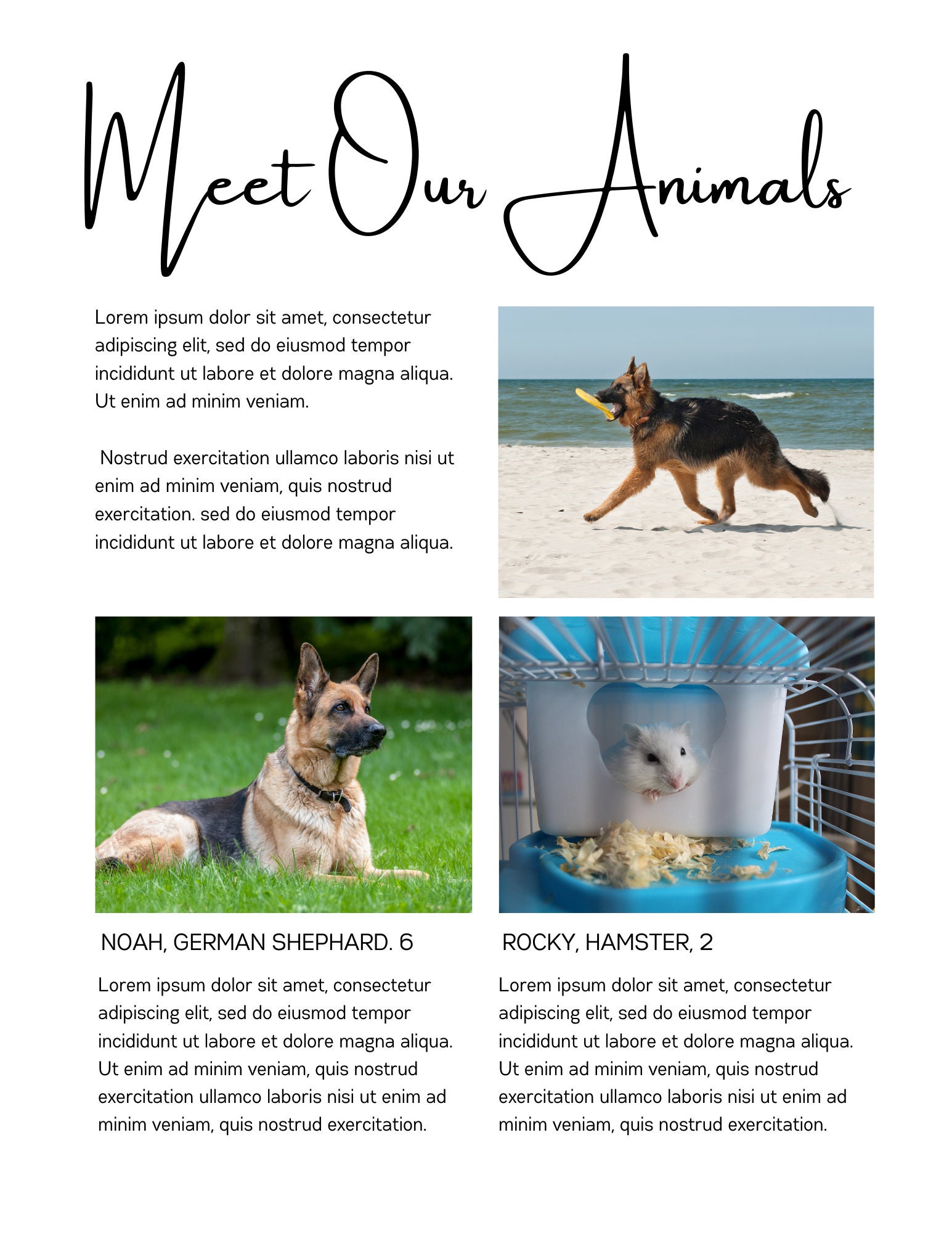 Adoption Profile Template, Modern Adoption Profile Book, Digital ...