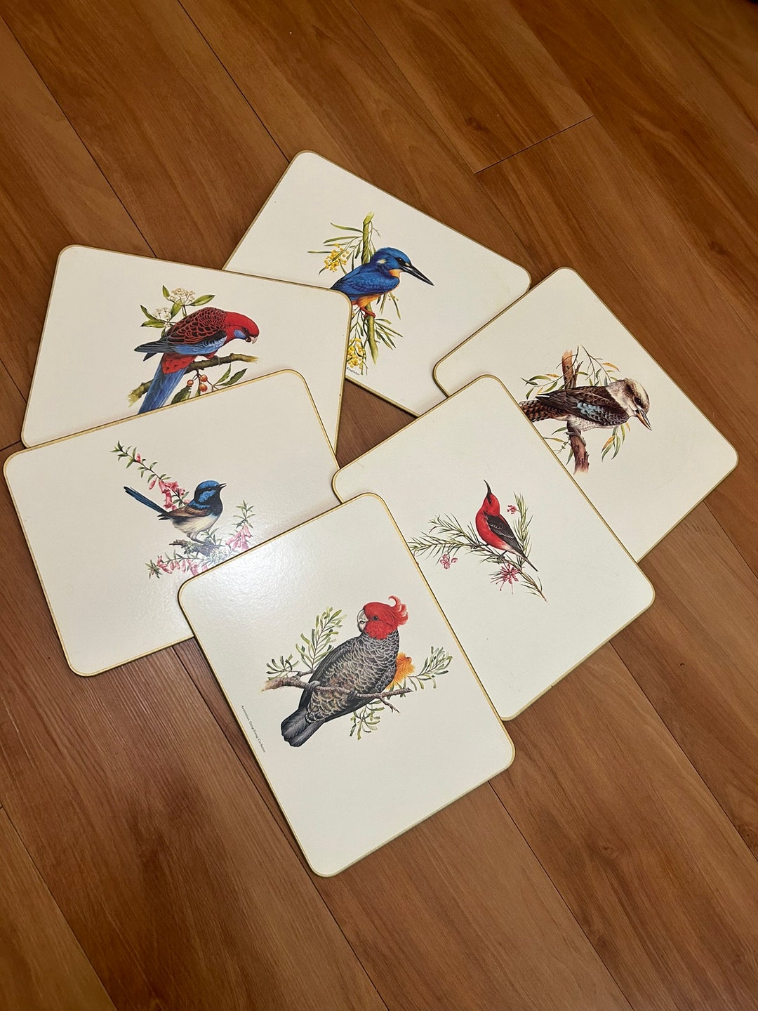 Vintage JASON New Zealand Cork Luncheon Dinner Placements Set of 6 ...
