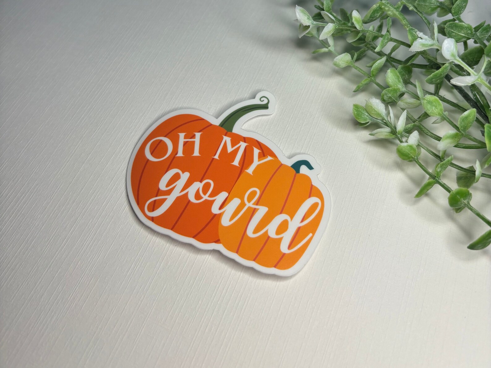 Oh My Gourd Sticker Fall Stickers Cute Halloween Sticker Retro Spooky ...