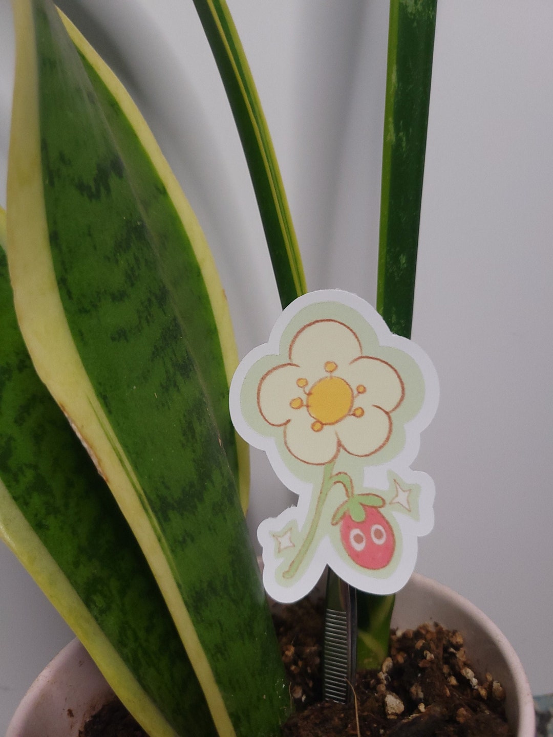 Kawaii Strawberry Flower Sticker Cute Coquette Sticker Strawberry ...