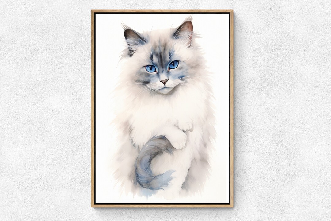 Watercolor Painting Ragdoll Cat Decorative Poster Illustration ...