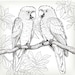 Colouring Pages of Birds for Colouring or Tracing - Etsy