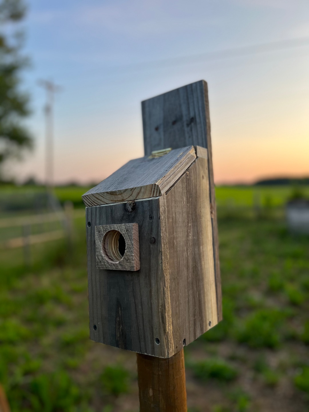 Rustic Bluebird House - Etsy