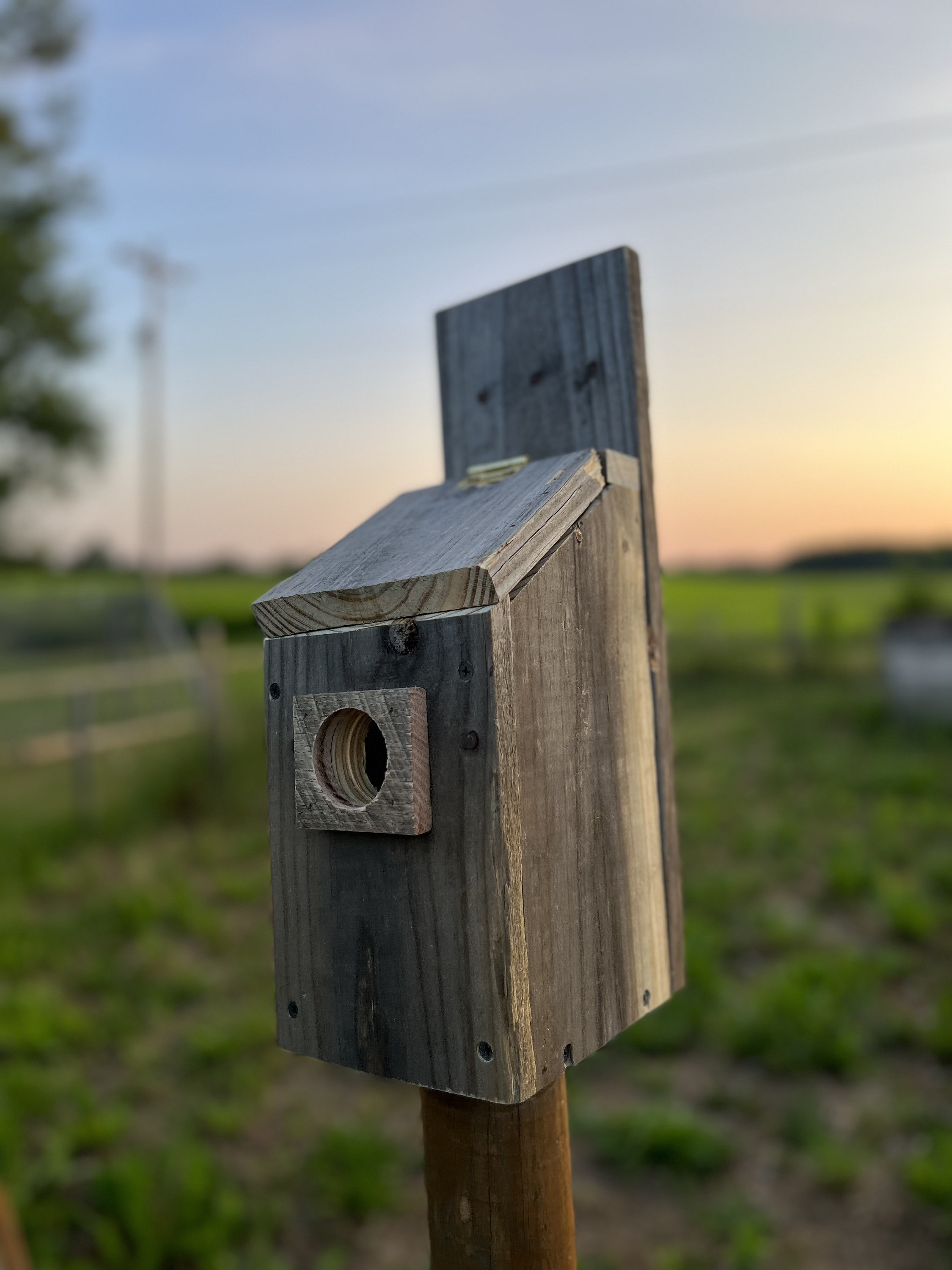 Rustic Bluebird House - Etsy