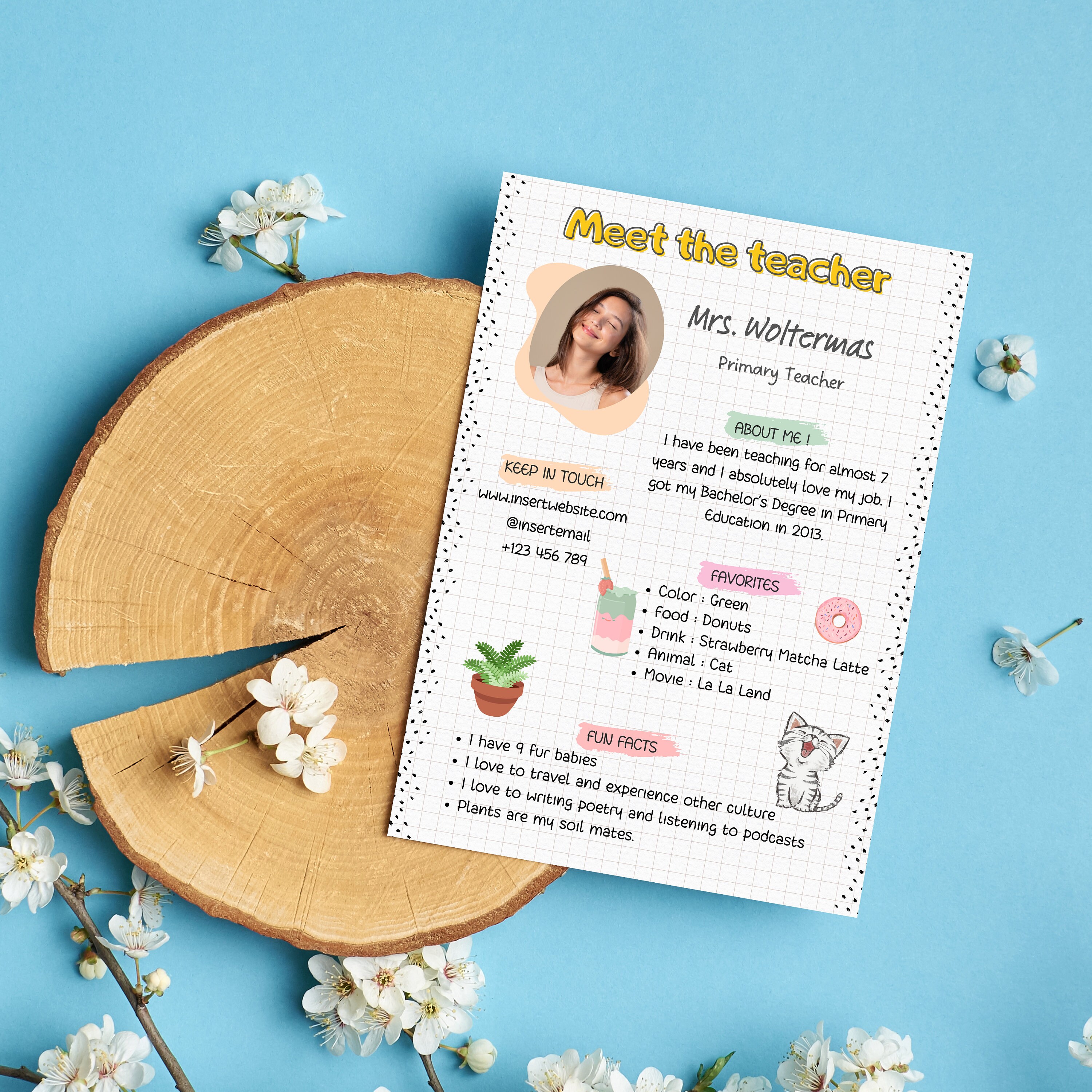 Meet the Teacher Classroom Printable Template, Teacher Introduction ...