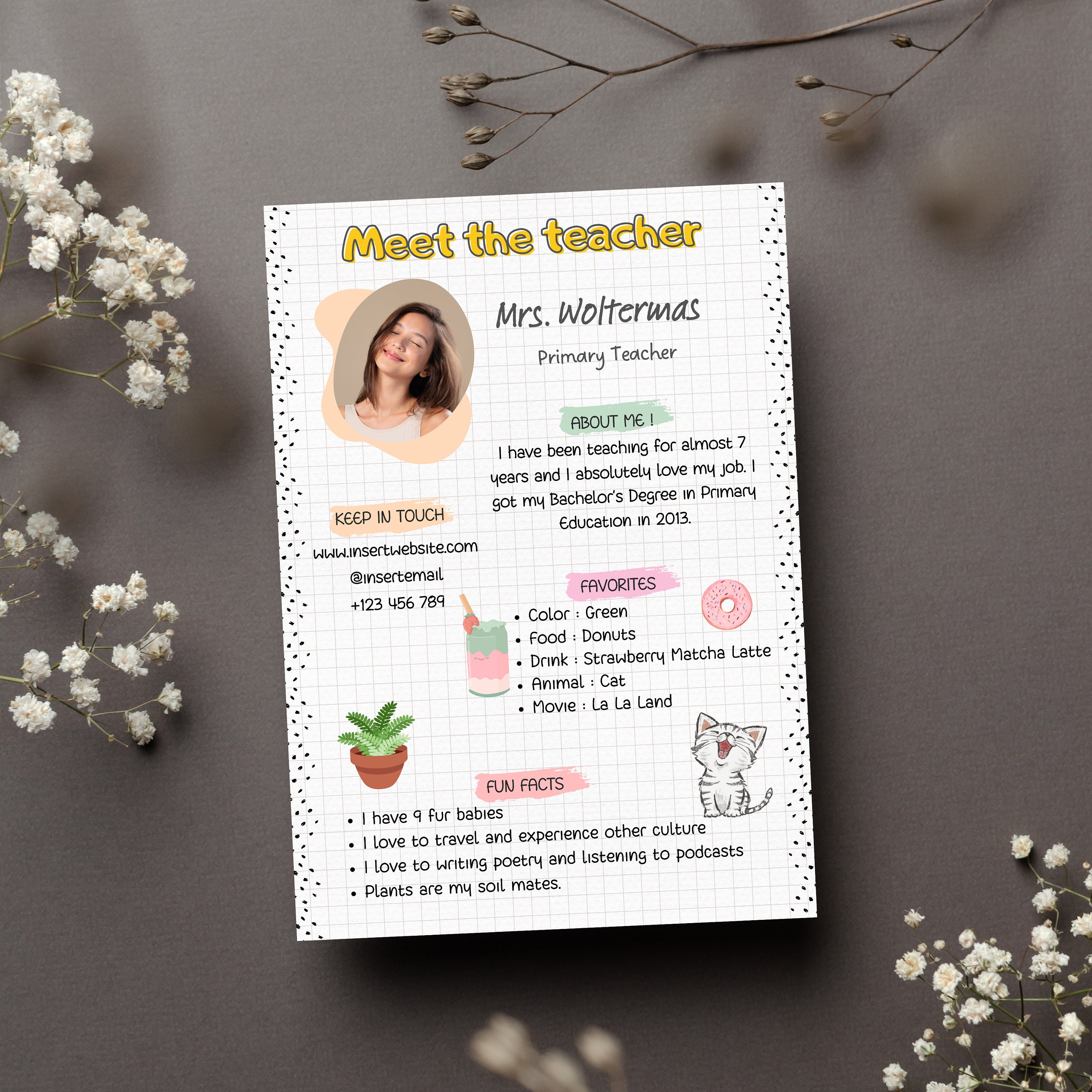 Meet the Teacher Classroom Printable Template, Teacher Introduction ...