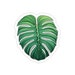 Monstera Leaf Sticker / Decal , Plant Lover Sticker , Monstera Print ...