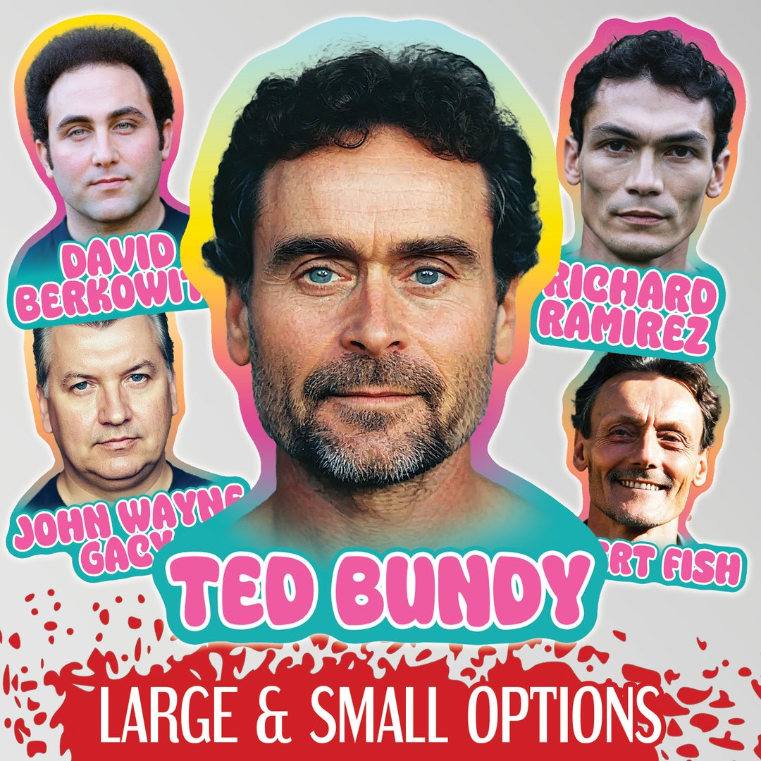 Looksmaxxing Dreamy Serial Killer Stickers - Etsy