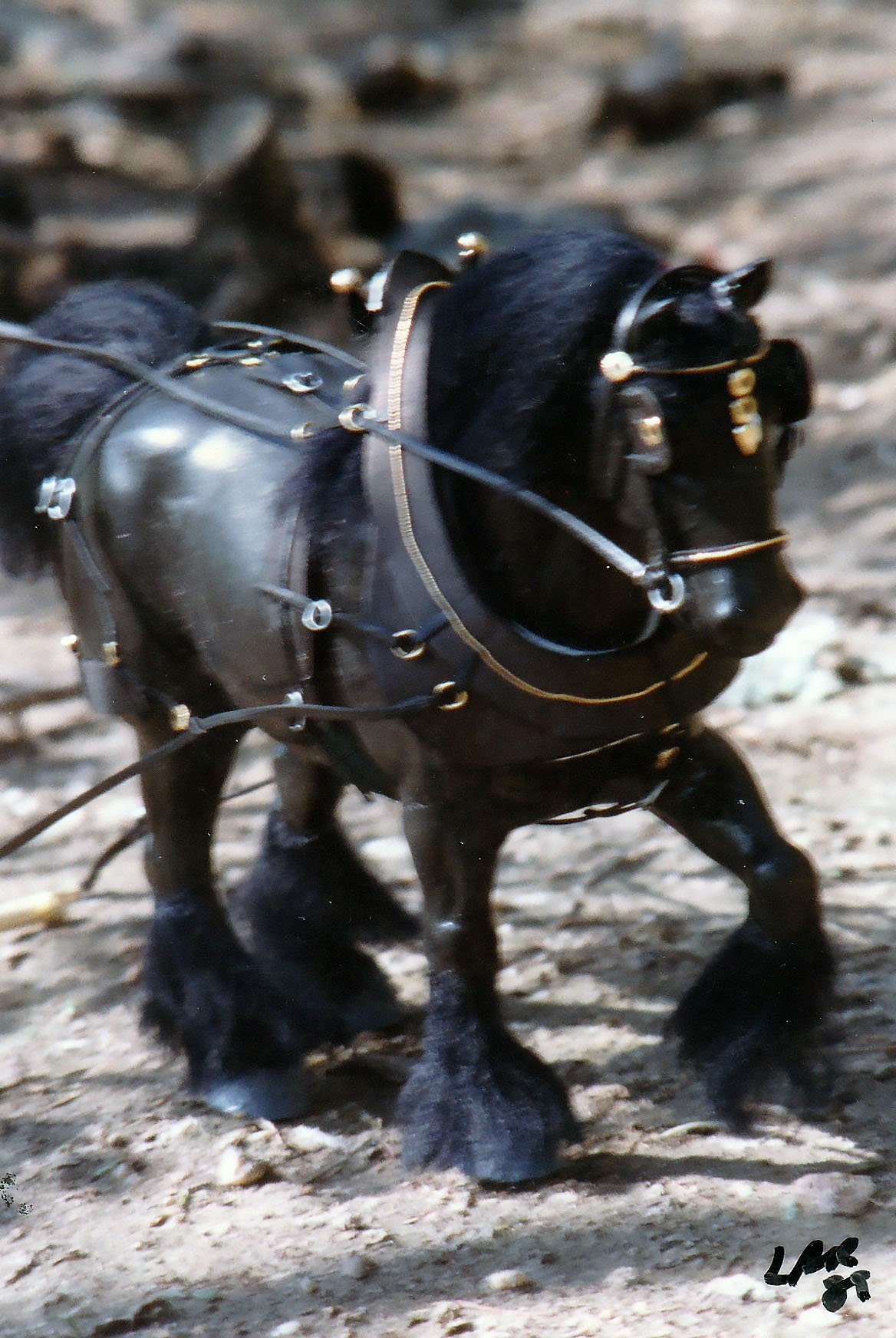 Making Tack for Model Horses, A Step-by-step Guide - Etsy