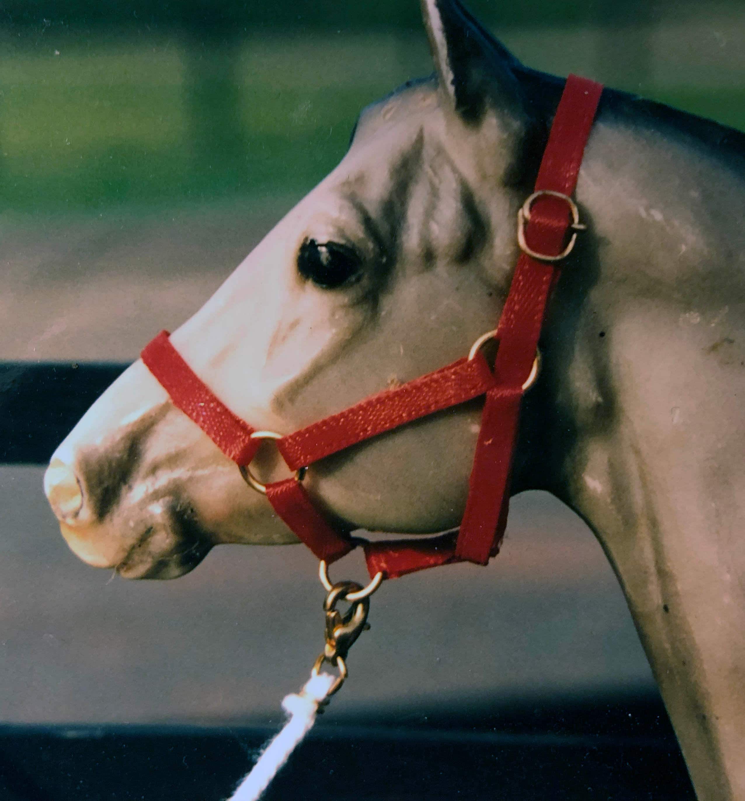 Making Tack for Model Horses, A Step-by-step Guide - Etsy