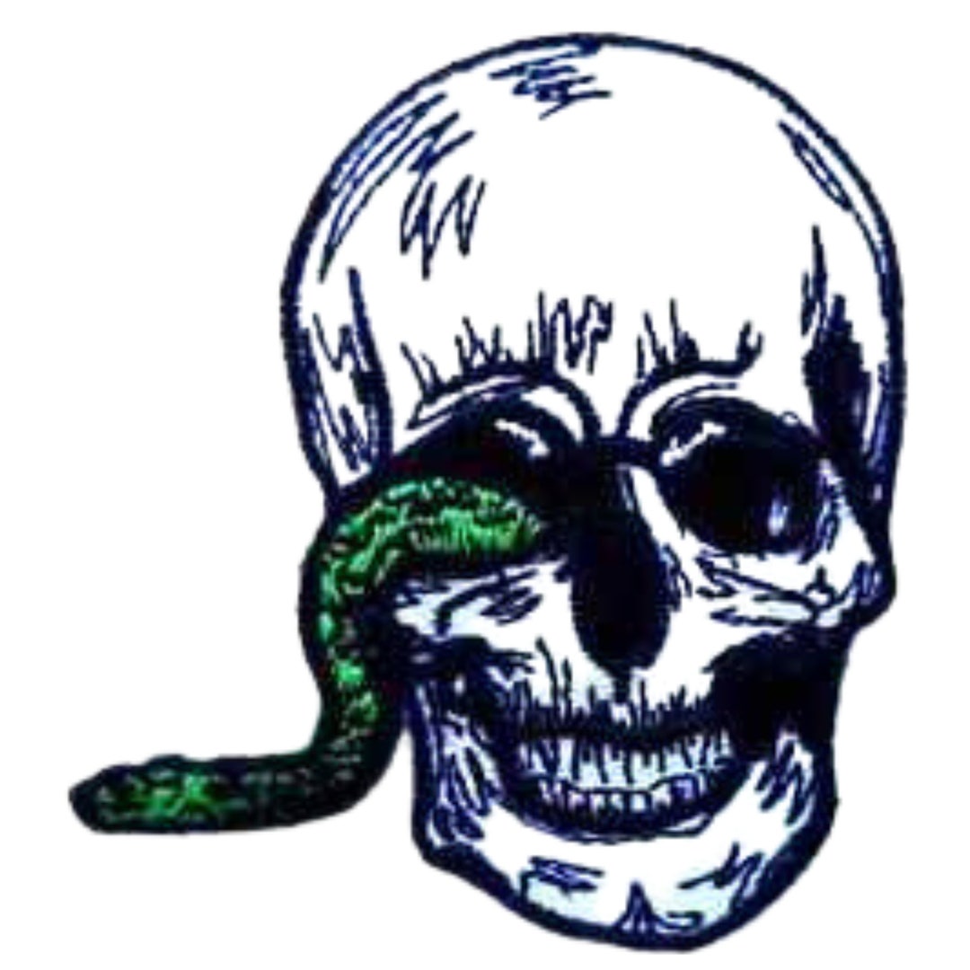 Skull With Snake Iron on Patch Embroidered Sew on Applique Badge - Etsy