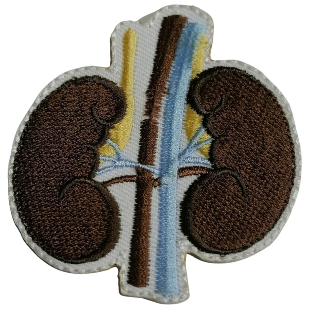 Human Kidneys Iron on Patch Embroidered Sew on Applique Badge - Etsy