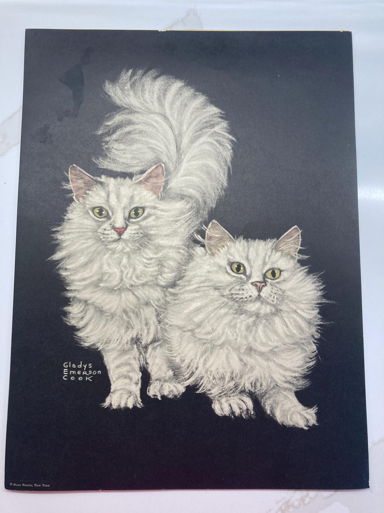 Cats and Kittens Vintage 8 Print Portfolio, Gladys Emerson Cook 1899 ...