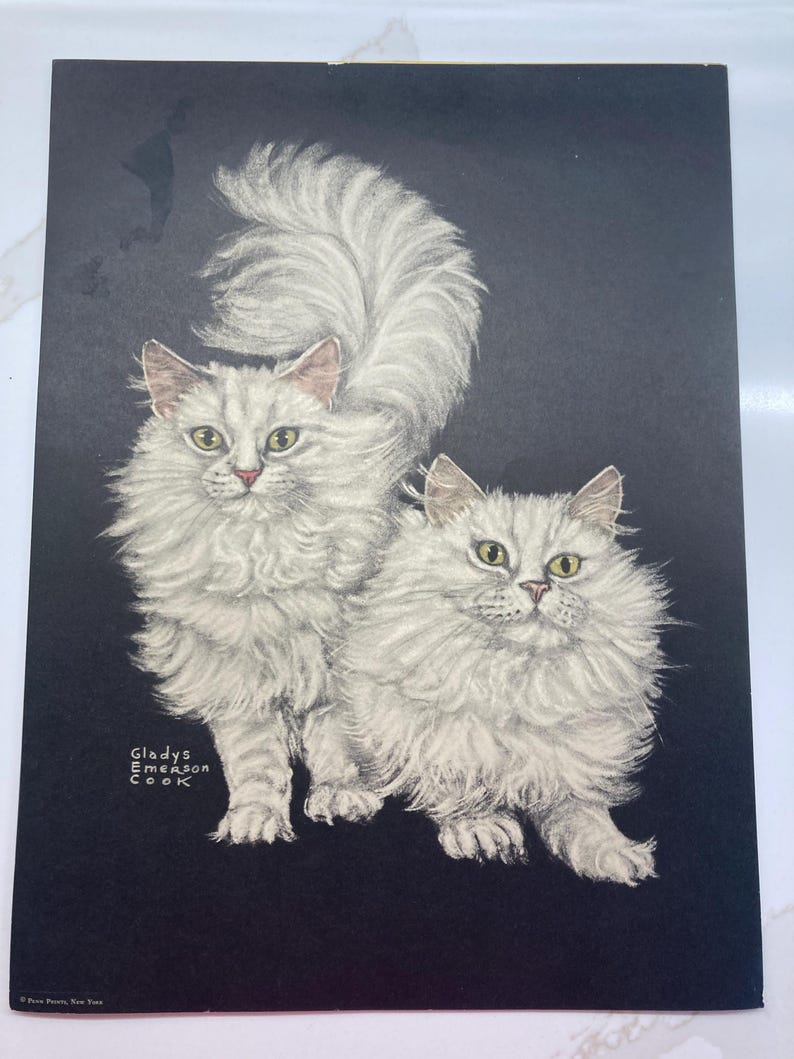 Cats and Kittens Vintage 8 Print Portfolio, Gladys Emerson Cook 1899 ...