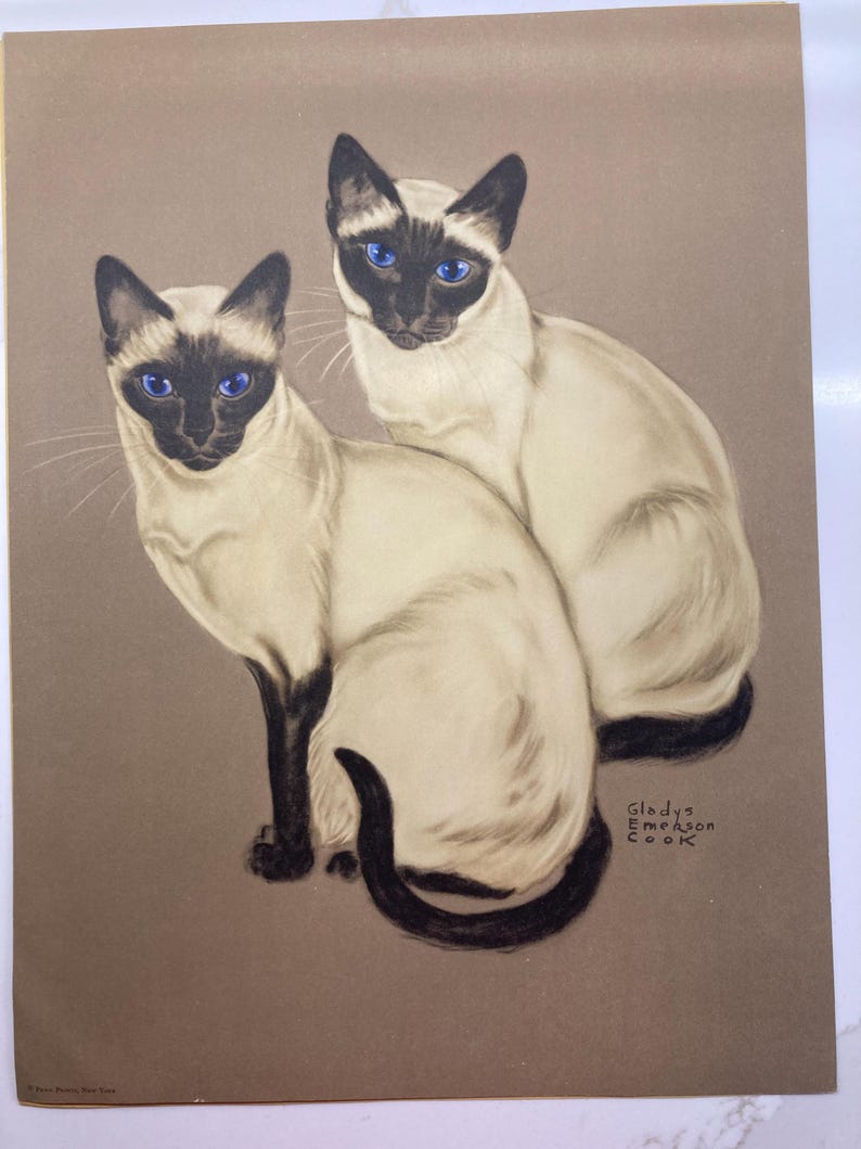 Cats and Kittens Vintage 8 Print Portfolio, Gladys Emerson Cook 1899 ...