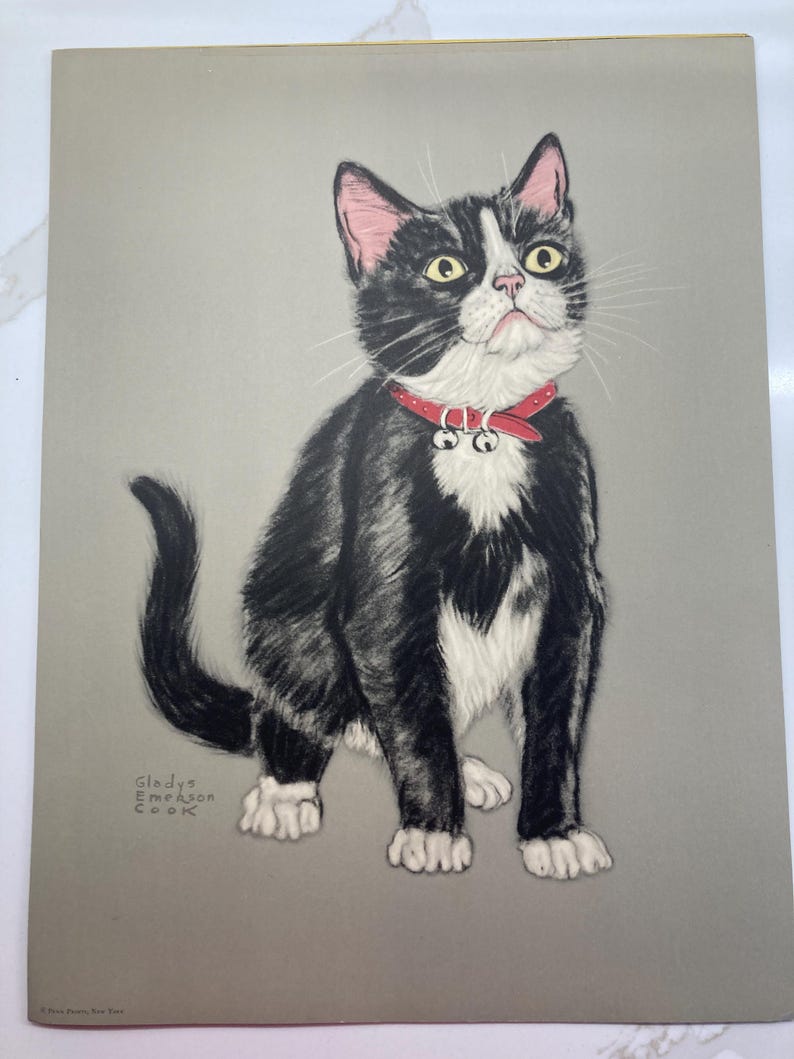 Cats and Kittens Vintage 8 Print Portfolio, Gladys Emerson Cook 1899 ...