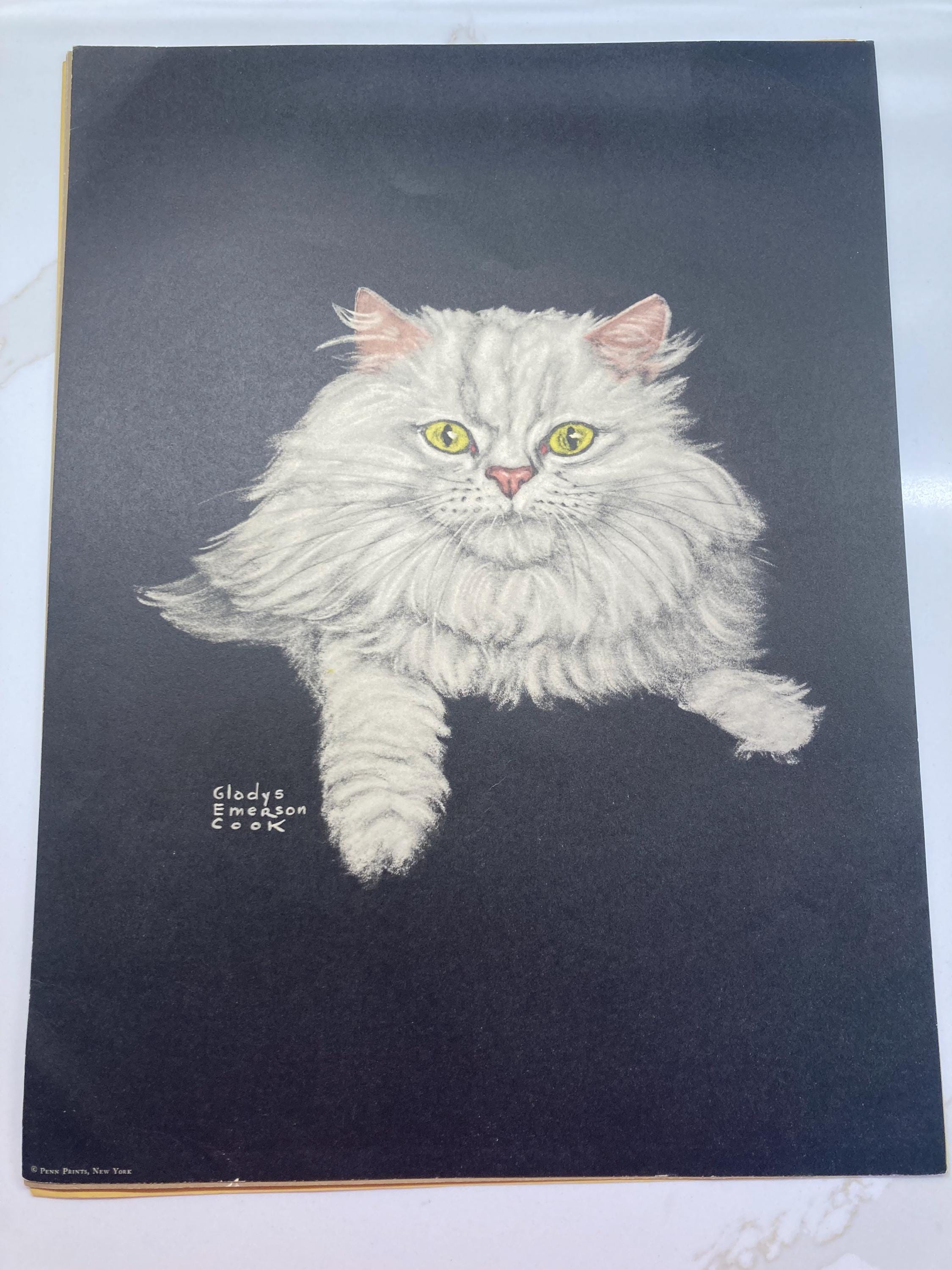 Cats and Kittens Vintage 8 Print Portfolio, Gladys Emerson Cook 1899 ...