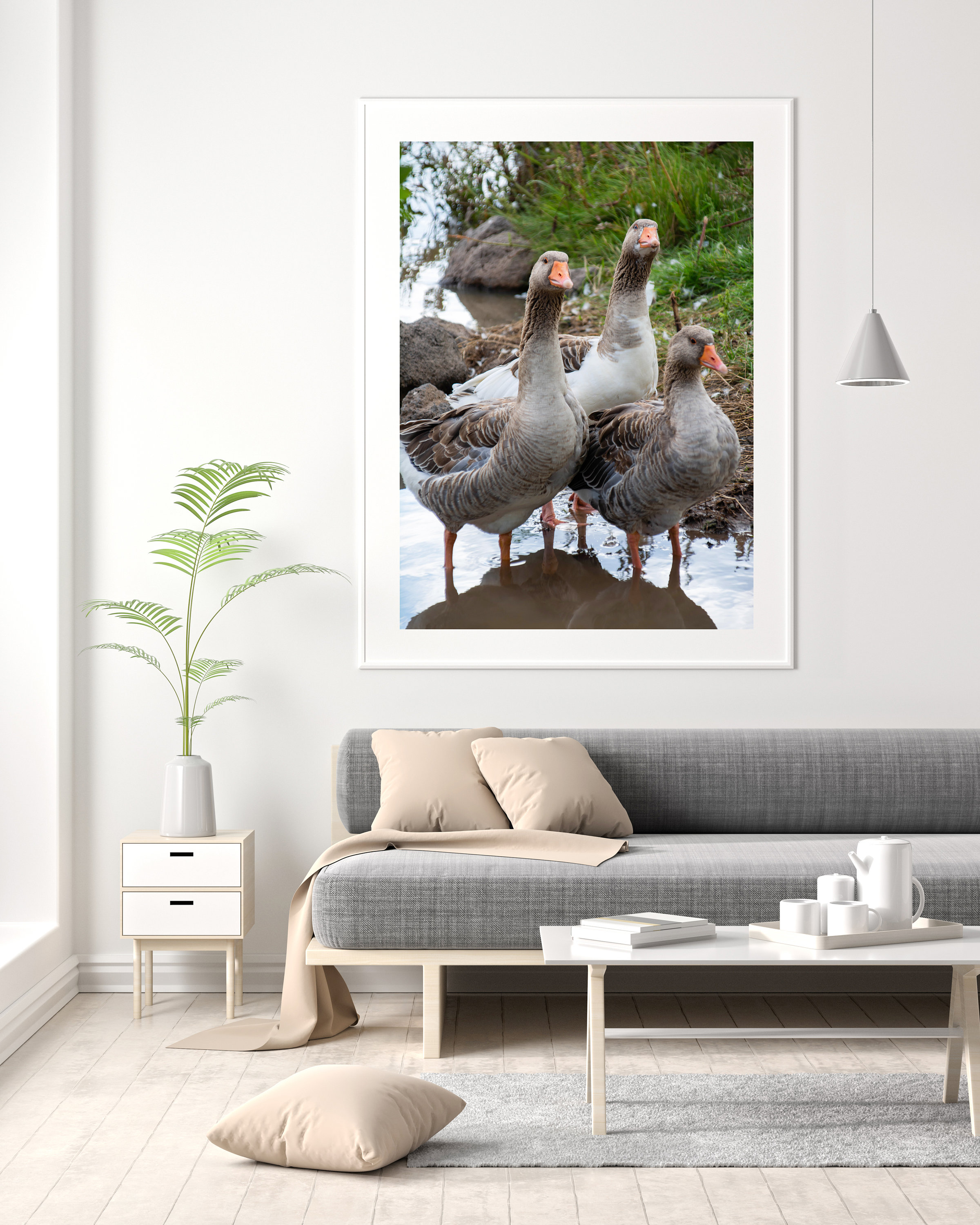 Wild Geese in Nature. Geese Photo. Nice Geese. Wild Birds Wall Art ...